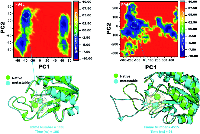 A computational perspective on the dynamic behaviour of recurrent drug ...