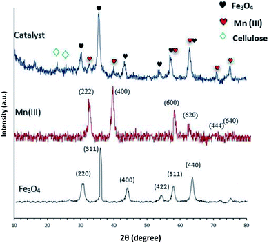 Introduction of a trinuclear manganese( iii ) catalyst on the surface ...