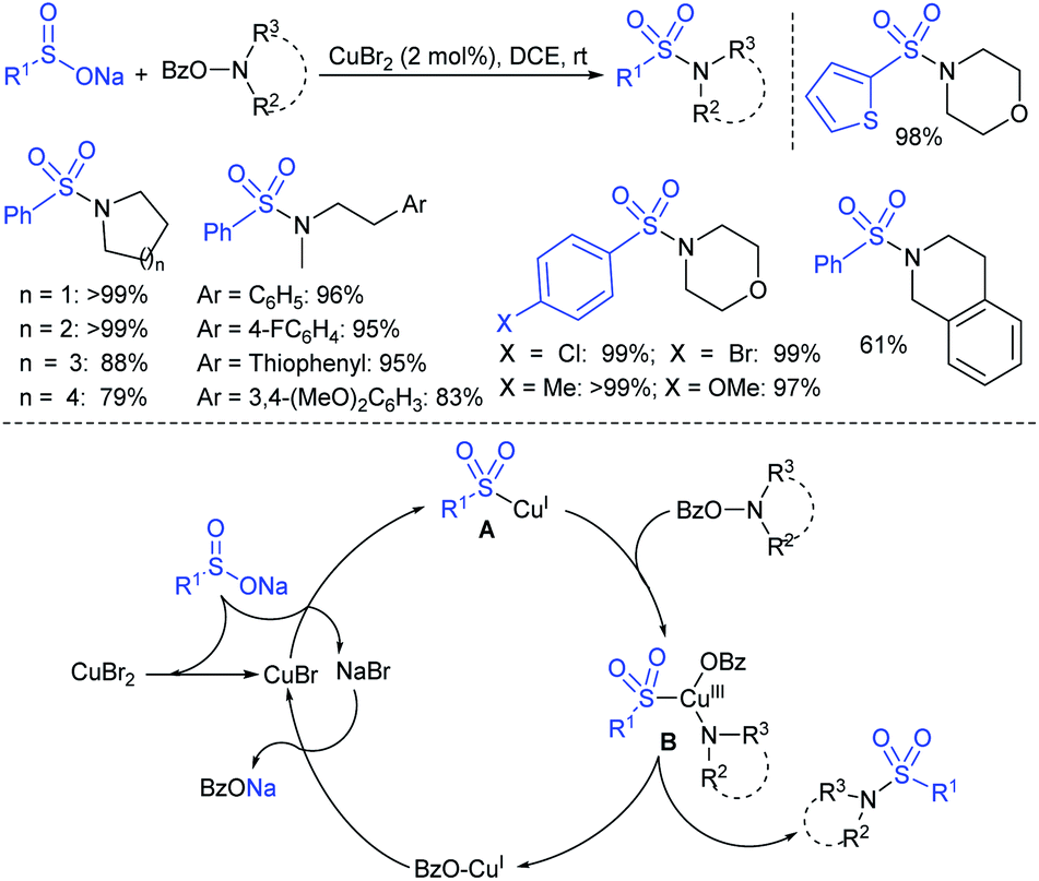 Synthesis and applications of sodium sulfinates (RSO 2 Na): a powerful ...