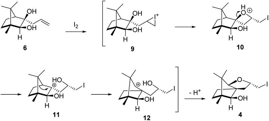 Studies in the rearrangement reactions involving camphorquinone - RSC ...