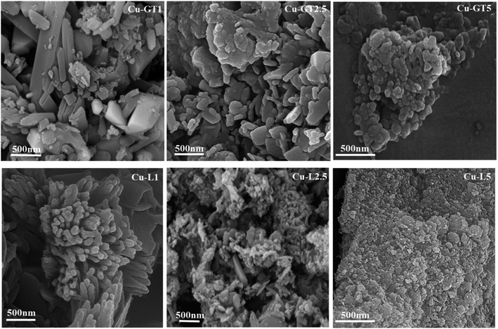 Synthesis of green and pure copper oxide nanoparticles using two plant ...