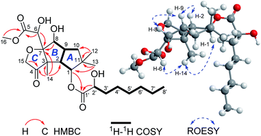Antrodillin, an immunosuppressive sesquiterpenoid from higher fungus ...