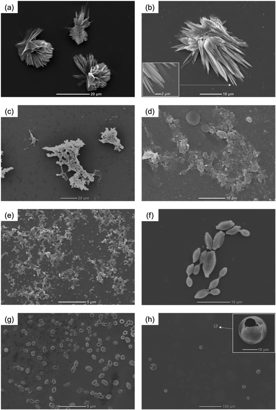 Synthesis and solvent-controlled self-assembly of diketopiperazine ...