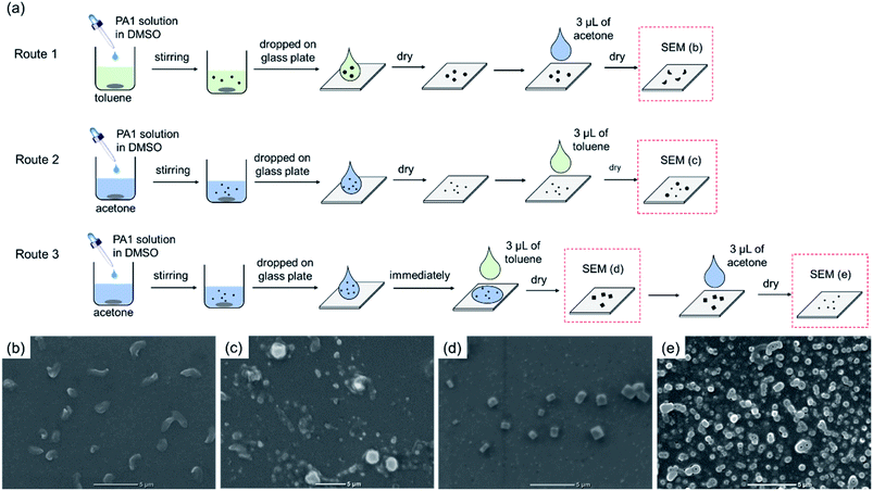 Synthesis and solvent-controlled self-assembly of diketopiperazine ...