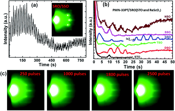 Growth mode and strain effect on relaxor ferroelectric domains in ...