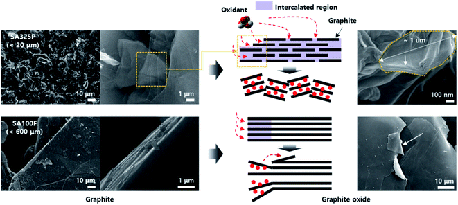 Building with graphene oxide: effect of graphite nature and oxidation ...