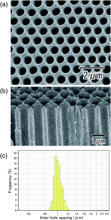 Self-ordered anodic porous alumina with inter-hole spacing over 1.5 μm ...