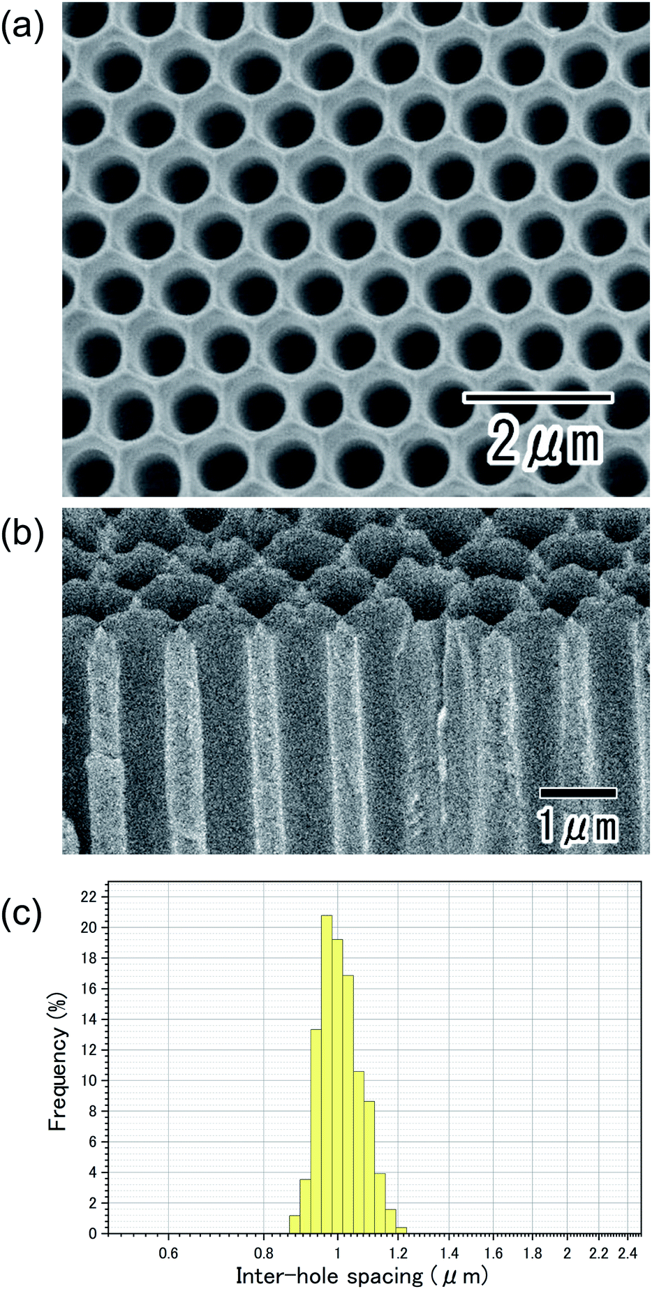 Self-ordered anodic porous alumina with inter-hole spacing over 1.5 μm ...