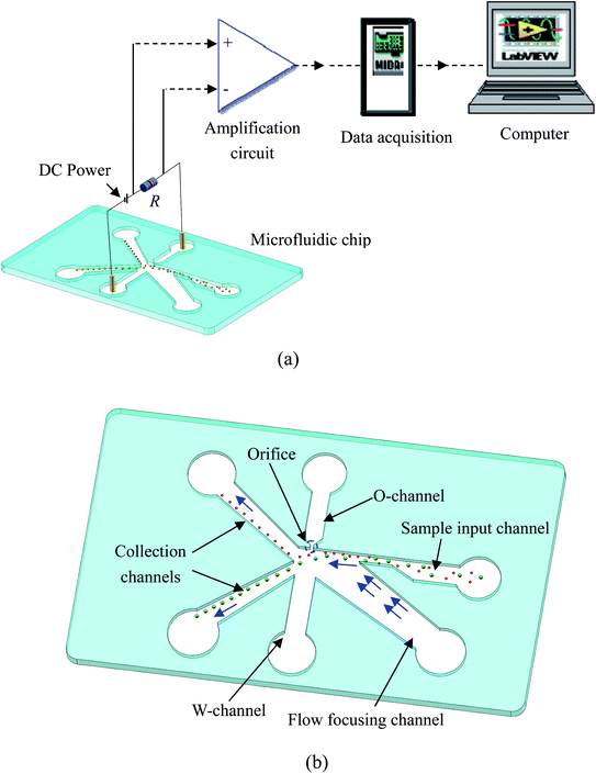Simultaneous and continuous particle separation and counting via ...
