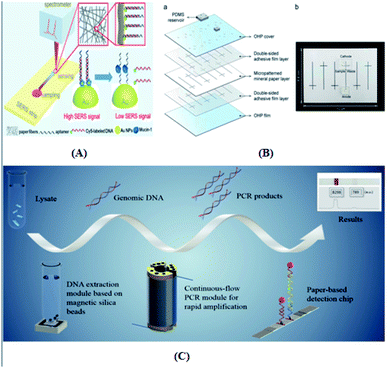 Research progress on the applications of paper chips - RSC Advances ...