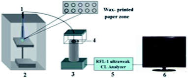 Research progress on the applications of paper chips - RSC Advances ...