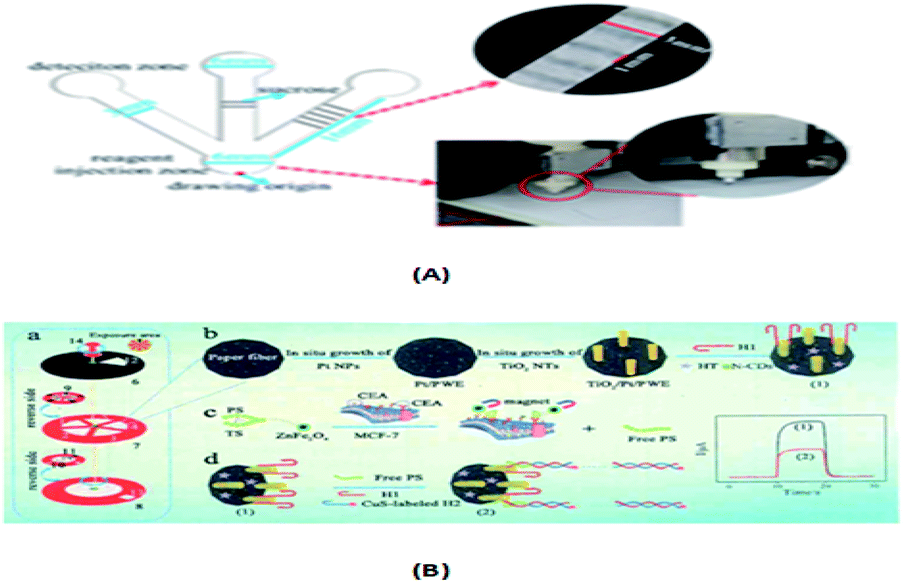 Research progress on the applications of paper chips - RSC Advances ...