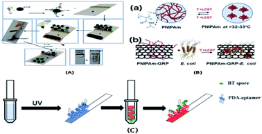 Research progress on the applications of paper chips - RSC Advances ...