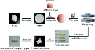 Preparation of chemical staple fibers by plasticizing bleached ...