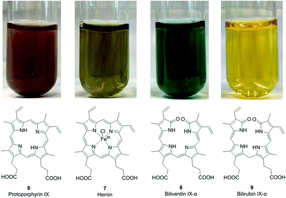 Chemistry of porphyrins in fossil plants and animals - RSC Advances ...