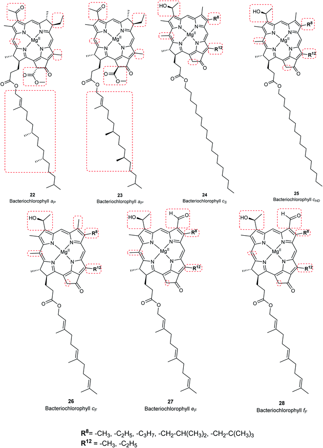 Chemistry of porphyrins in fossil plants and animals - RSC Advances ...