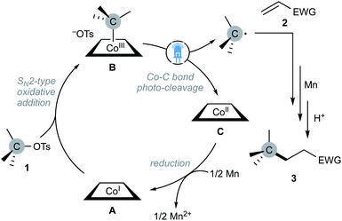 Visible light-driven Giese reaction with alkyl tosylates catalysed by ...