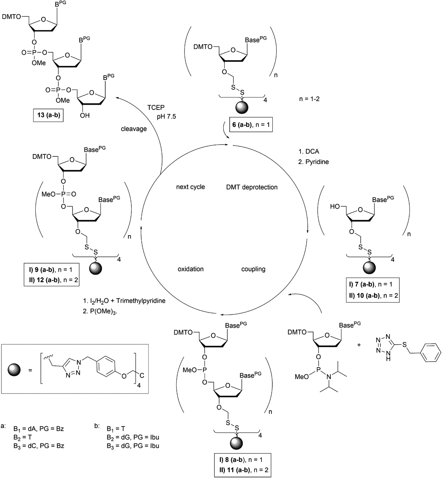 Synthesis of fully protected trinucleotide building blocks on a ...