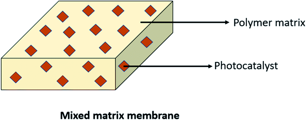 Immobilization techniques of a photocatalyst into and onto a polymer ...