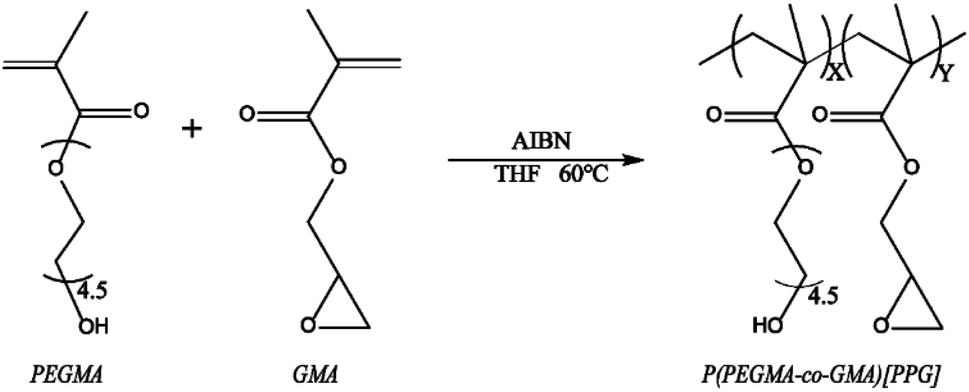 Facile multifunctional IOL surface modification via poly(PEGMA- co -GMA ...