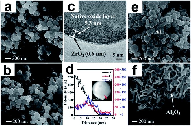 Surface modification and functionalization of powder materials by ...