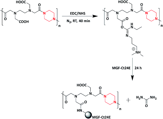 Piperazine based antimicrobial polymers: a review - RSC Advances (RSC ...