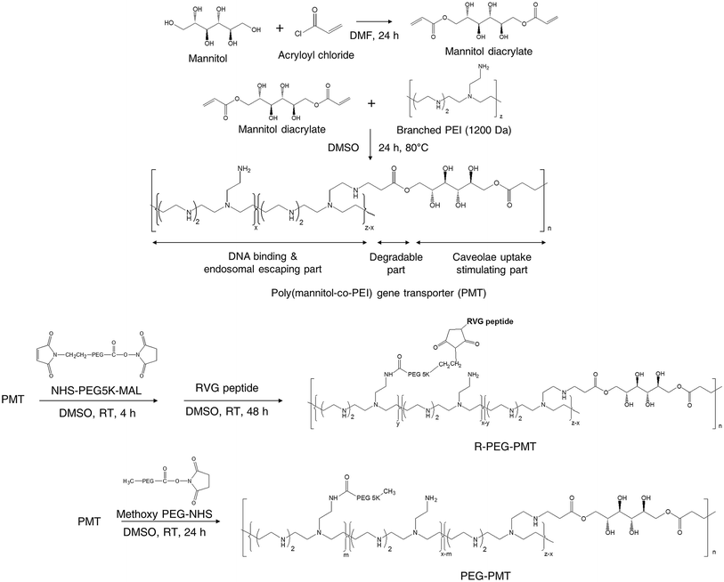 Application progress of RVG peptides to facilitate the delivery of ...