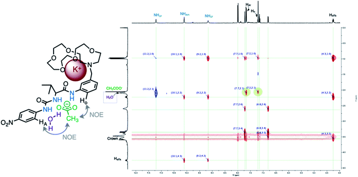 Development of effective potassium acetate extractant - RSC Advances ...