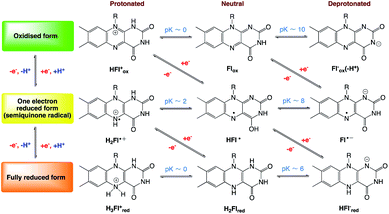 Synthetic applications of flavin photocatalysis: a review - RSC ...