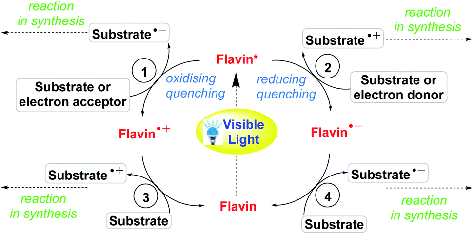 Synthetic applications of flavin photocatalysis: a review - RSC ...