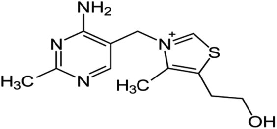 Enhancing the inhibition and adsorption performance of SABIC iron ...