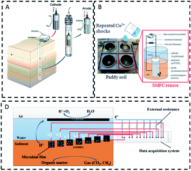 Microbial fuel cells for in-field water quality monitoring - RSC ...