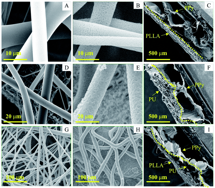 A biocompatible polypyrrole membrane for biomedical applications - RSC ...