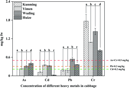 Total and bioaccessible heavy metals in cabbage from major producing ...