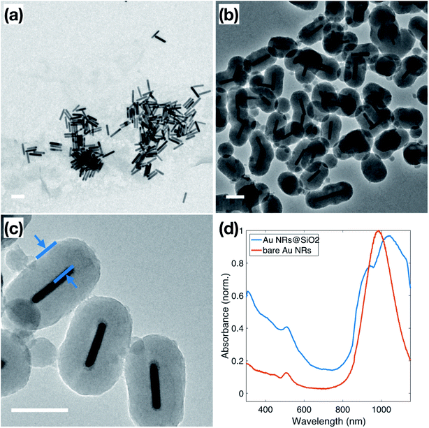 Catalytically active and thermally stable core–shell gold–silica ...