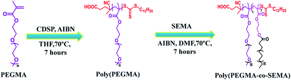 RAFT polymerization mediated core–shell supramolecular assembly of ...