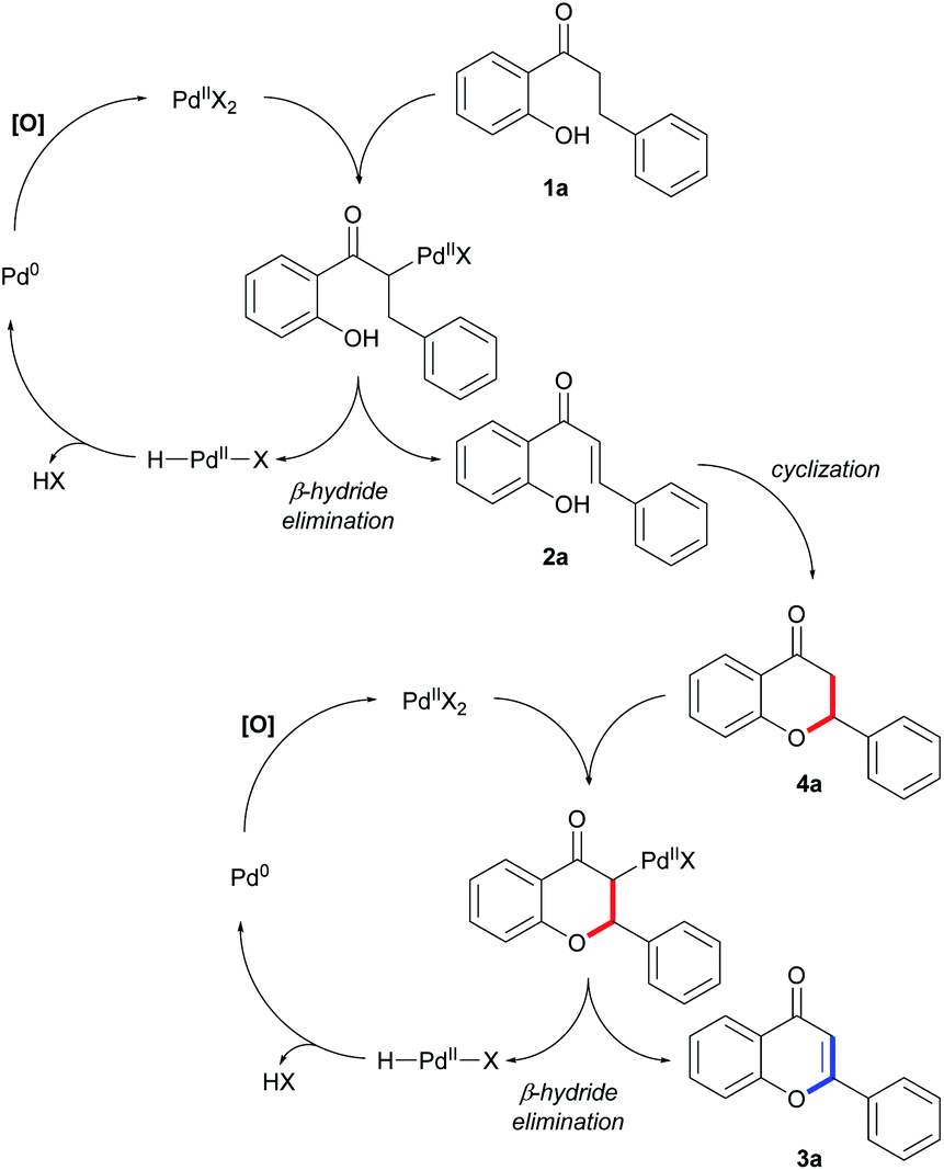 Divergent synthesis of flavones and flavanones from 2 ...