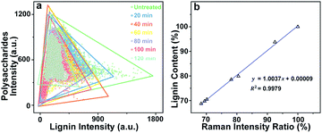 Visualising lignin quantitatively in plant cell walls by micro-Raman ...