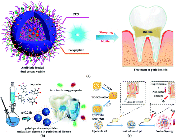 Applications of nanomaterials in tissue engineering - RSC Advances (RSC ...