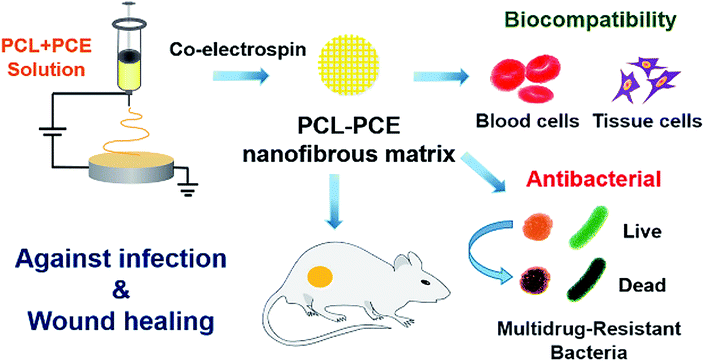 Applications of nanomaterials in tissue engineering - RSC Advances (RSC ...