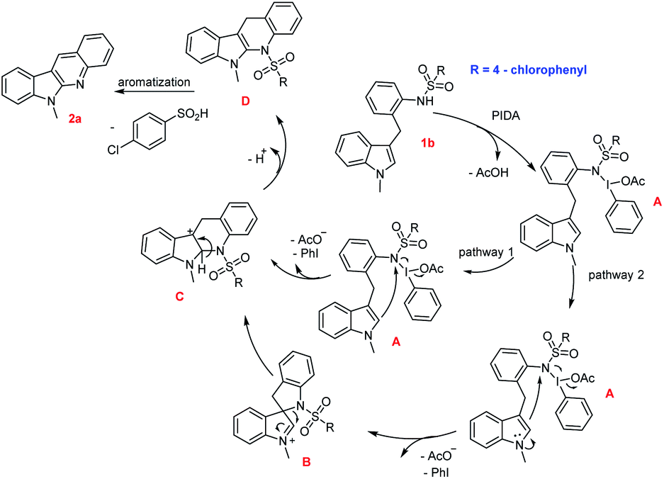PhI(OAc) 2 -mediated intramolecular oxidative C–N coupling and ...