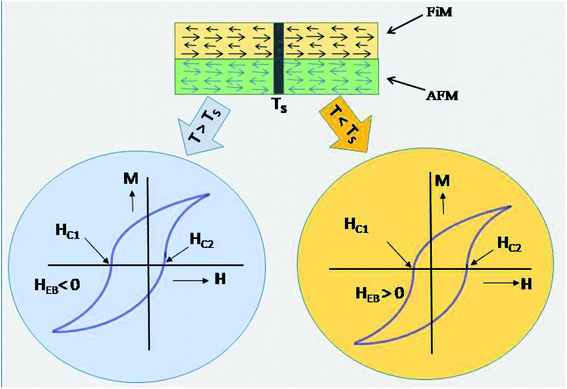 A temperature-dependent switching of the exchange bias effect from ...