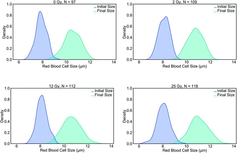 Quantifying the influences of radiation therapy on deformability of ...