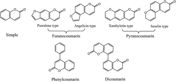 Natural coumarins as potential anti-SARS-CoV-2 agents supported by ...