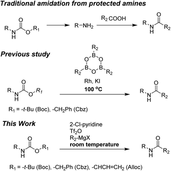Practical one-pot amidation of N -Alloc-, N -Boc-, and N -Cbz protected ...
