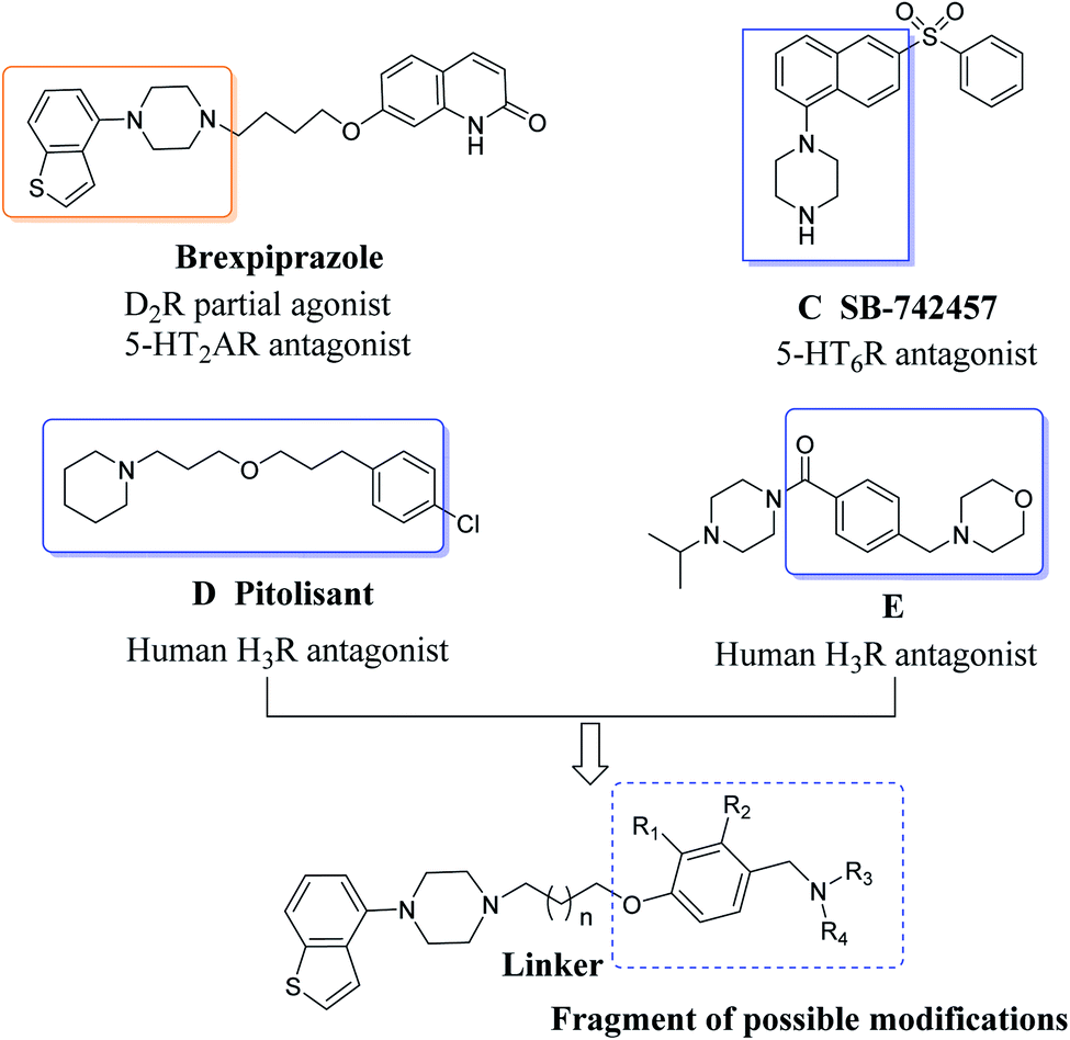 Synthesis and biological evaluation of a new class of multi-target ...
