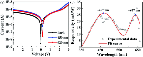 Dual-wavelength visible photodetector based on vertical (In,Ga)N ...