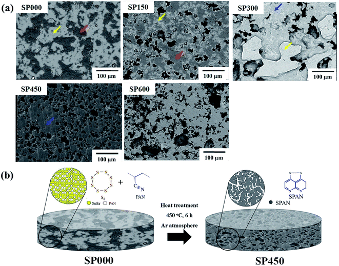 Binder-free and high-loading sulfurized polyacrylonitrile cathode for ...