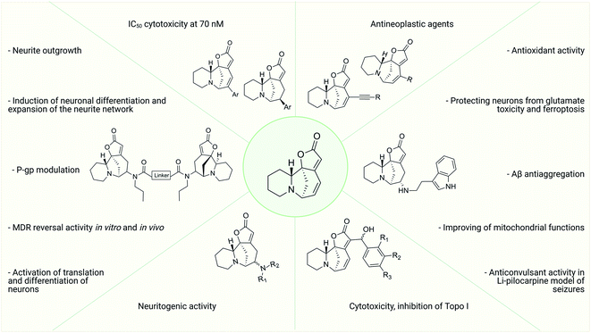 Unique indolizidine alkaloid securinine is a promising scaffold for the ...