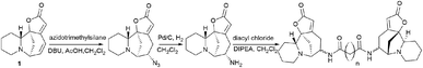 Unique indolizidine alkaloid securinine is a promising scaffold for the ...